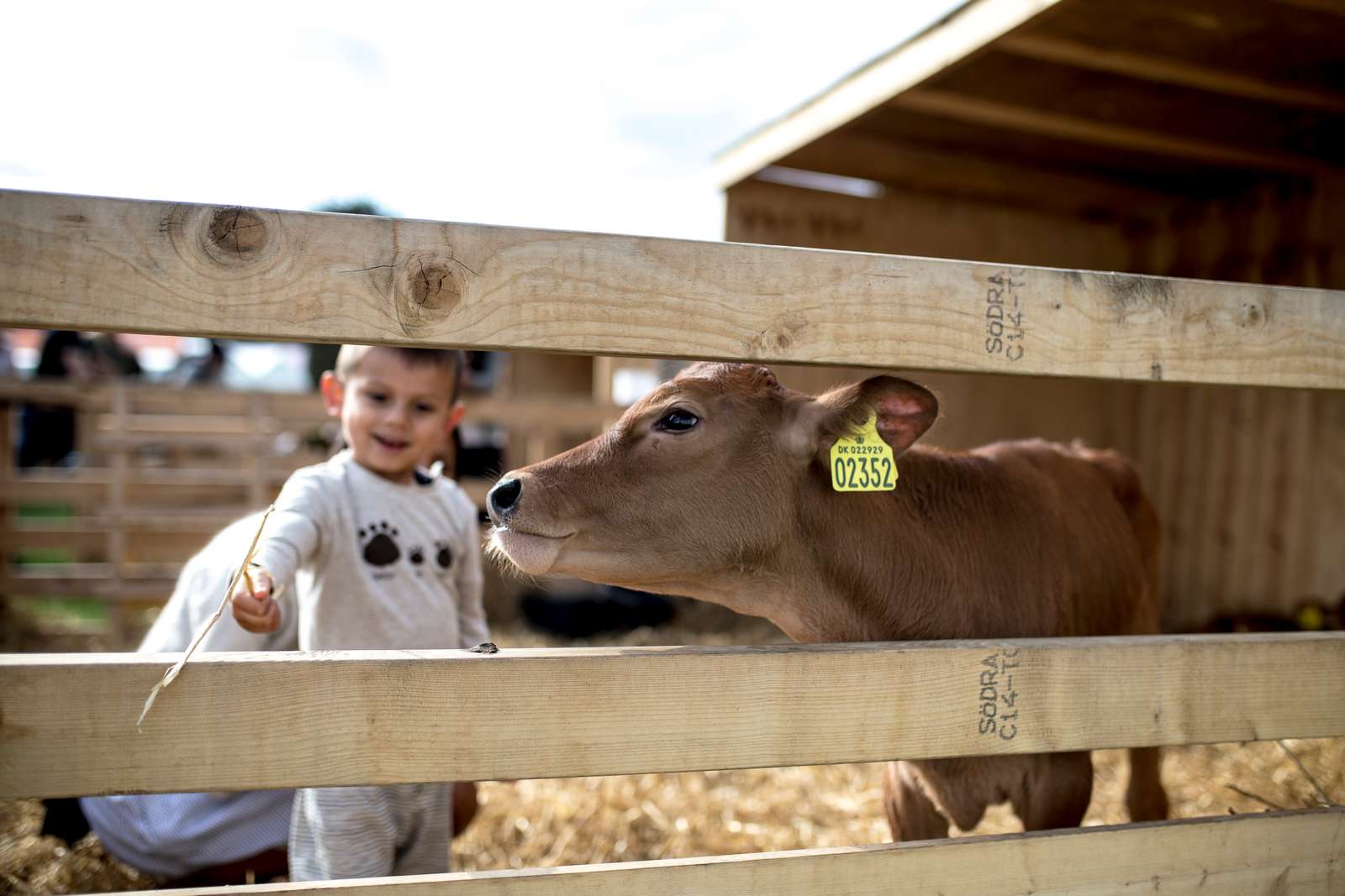 Få grøn inspiration på Kål & Ko